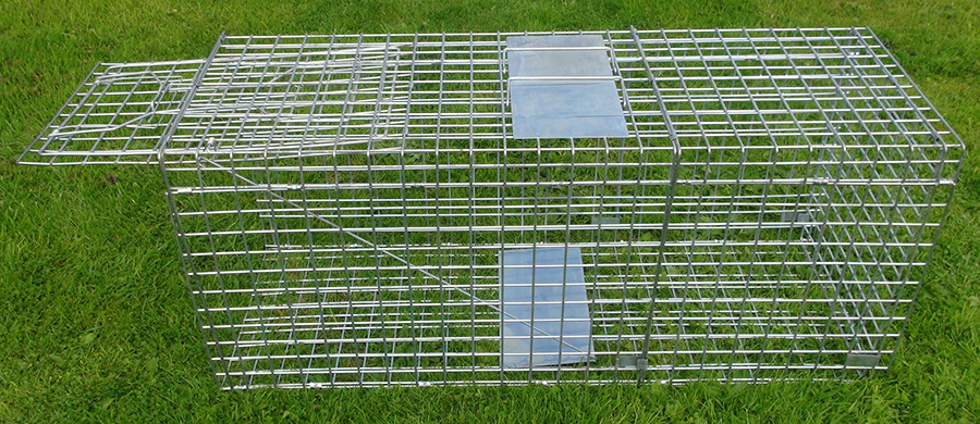 44" Large Fox trap, Humane pest control cage - GDK TradingGDK Trading